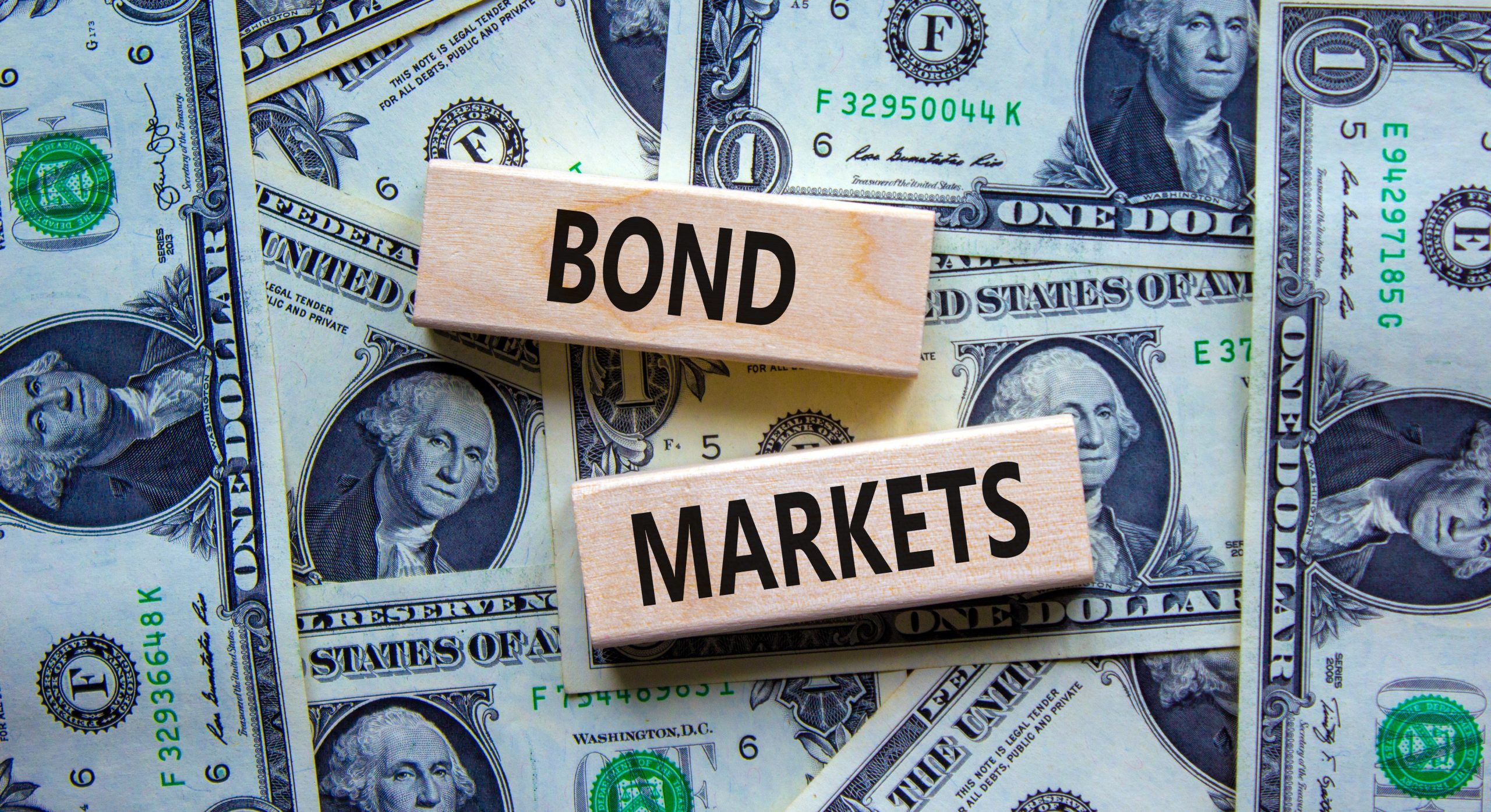 U.S. Bond Market - Nelson Capital Management